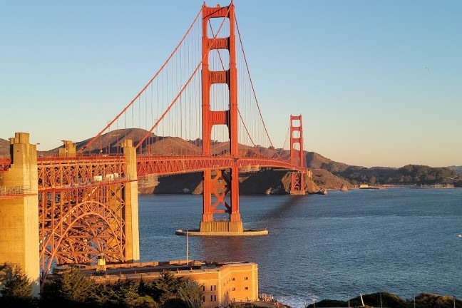 Signature IP for your cutting edge IP needs